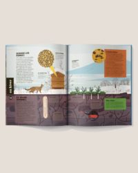 Benjamin Flouw – Garance illustration agency